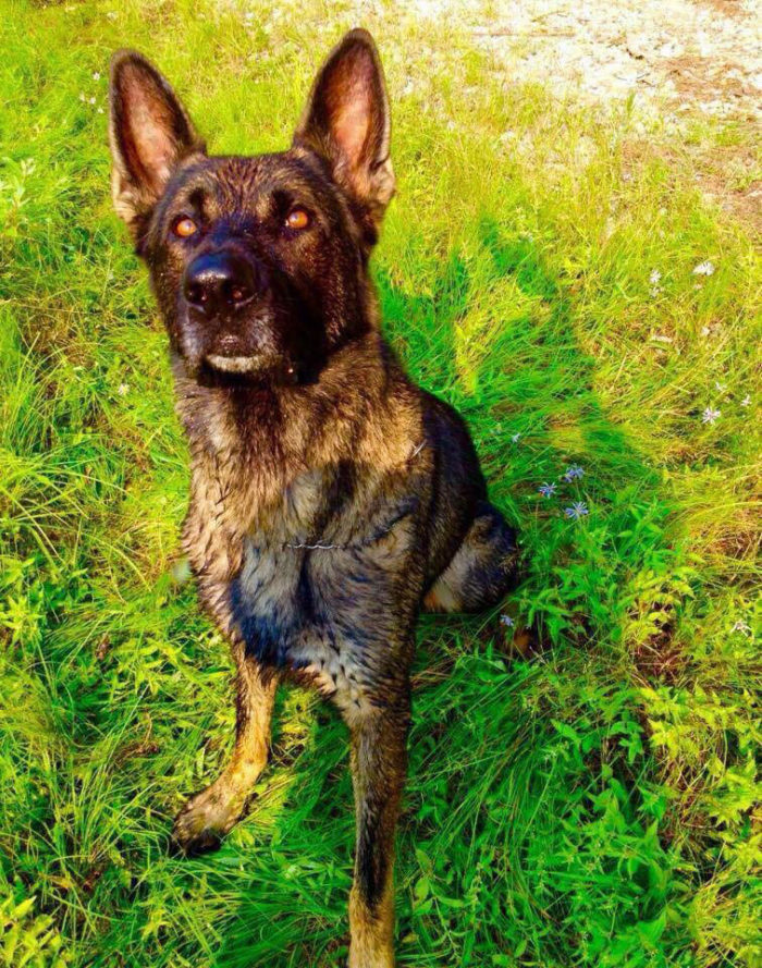 Keanu Moore-Lawson - Okanagan Pet Cremation